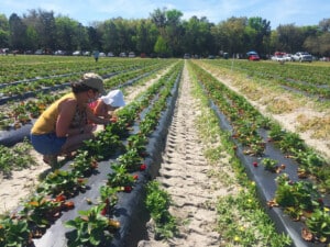 Bill to gut Seminole County rural boundary could apply outside of ...