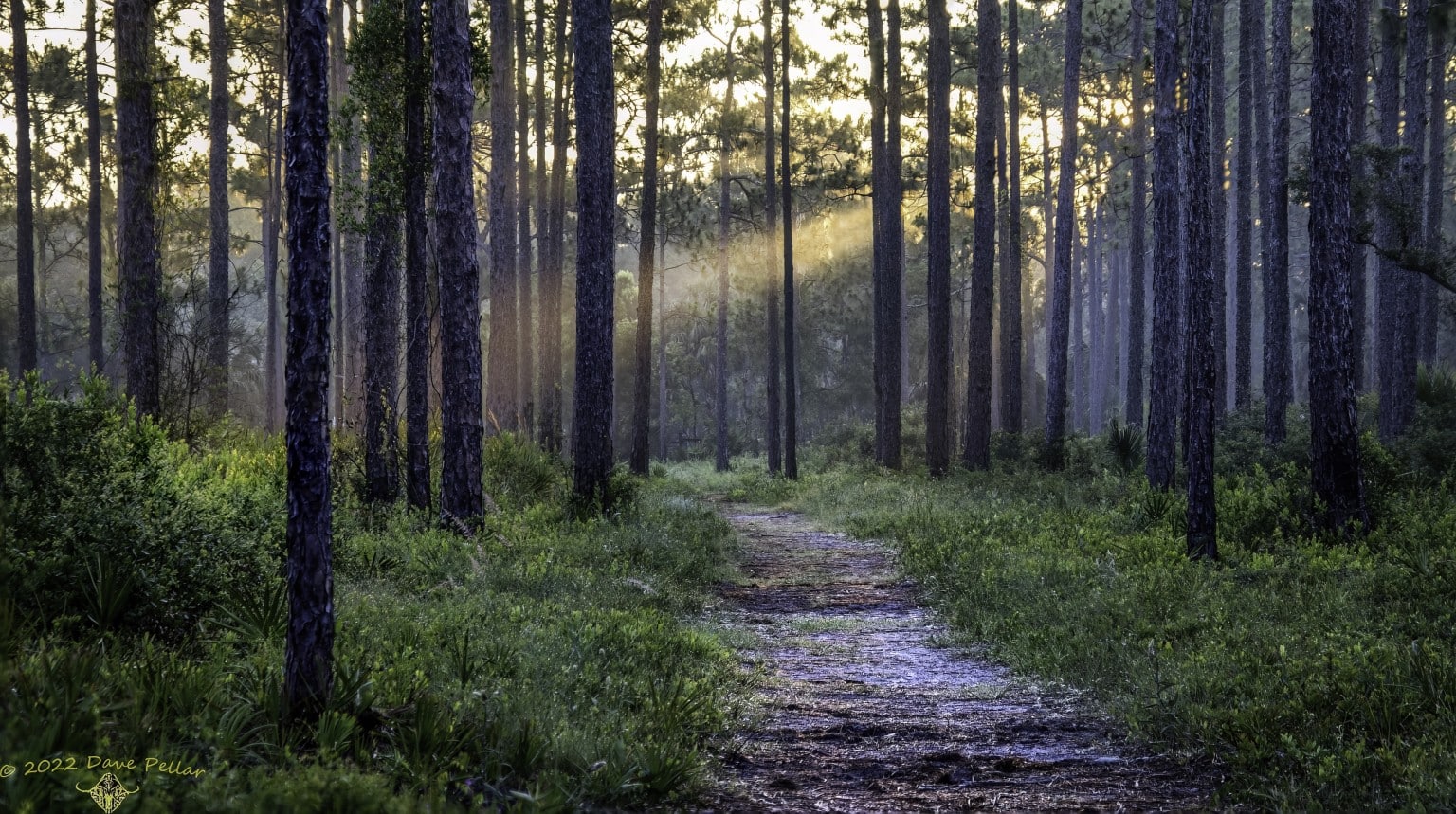 Bill to gut Seminole County rural boundary could apply outside of ...