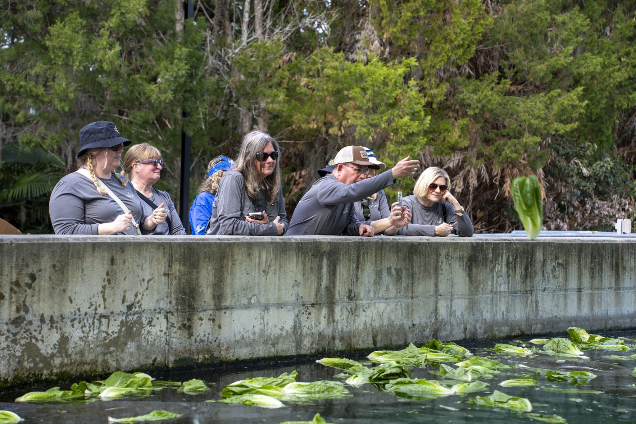 DUDA Donation Helps Feed Rescued Manatees at SeaWorld Orlando – Oviedo ...